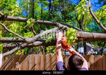 Contractor uses chainsaw to cut through large fallen tree trunk in ...