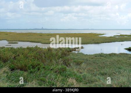 Coastal plains of the English Channel or La Manche at Quettehou in ...