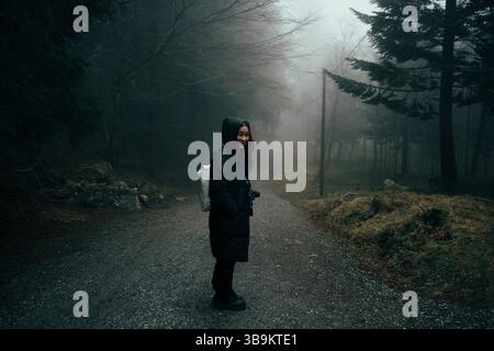 Atmospheric forest scenes captured on Mount Floyen in Bergen Stock ...