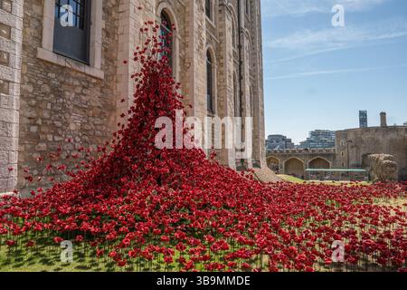 Poppies in the Tower of London for the 80th Anniversary of VE Day ...