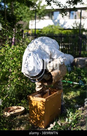 Imker Imker bei der Arbeit mit seinen Bienen auf dem Stadtacker in ...
