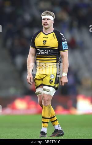 Aaron Wainwright of the Dragons in action. United Rugby Championship ...