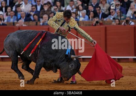Seville, May 9, 2025. Bullfight held at La Maestranza for bullfighters ...