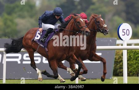 Roosevelt ridden by Wayne Lordan on their way to win the Captain Dara ...