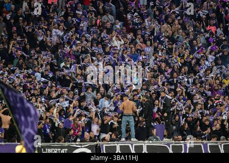 Fans of Lens during the French championship Ligue 1 football match ...