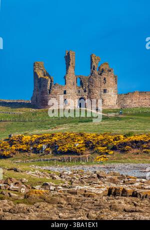 View of Dunstanburgh Castle at Craster Northumberland Stock Photo - Alamy