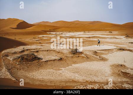 Dried out desert area and background sand structure Stock Photo - Alamy