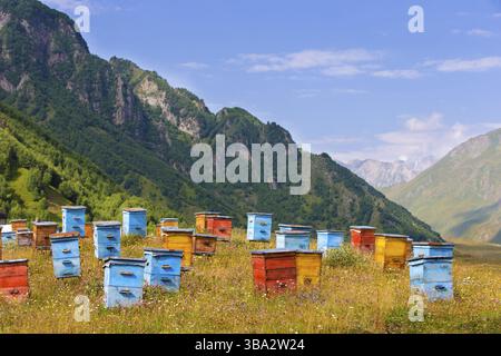 Wooden beehives against the backdrop of mountains. Beehives in a ...