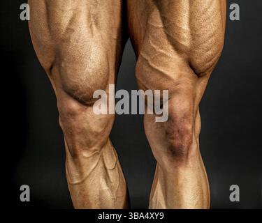 cropped view of sportsman quadriceps. fitness sportsman with quadriceps ...