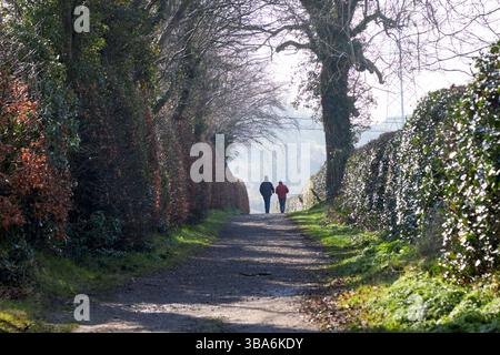 winter countryside morning,Northern Ireland Stock Photo - Alamy