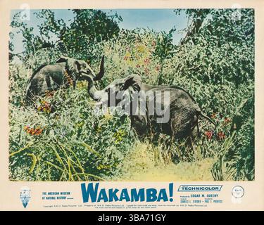 Wakamba 1955 Edgar M. Queeny central-east Africa native tribe ...