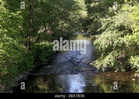 Fruehling Frühling im Siegerland. Der Fluss Sieg bei Eiserfeld. Fluss ...