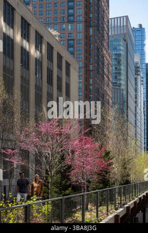 The spur is a hardspace walkway that connects the Highline to the ...