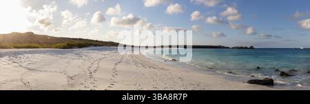 Gardner Bay beach, Isla Espanola, Galapagos, Ecuador, South America ...