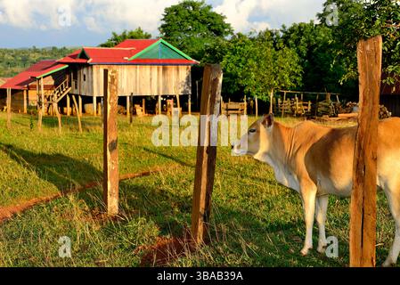 Dak Dam, Mondulkiri, Cambodia Stock Photo - Alamy