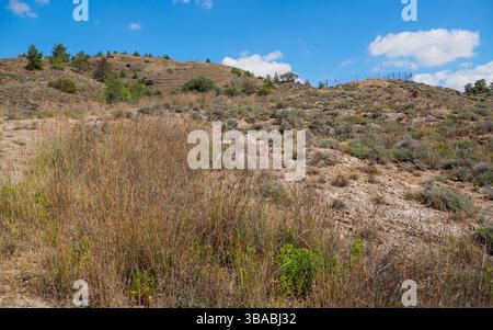 Almyras archaeological site, Iron age copper smelting site, Troodos ...
