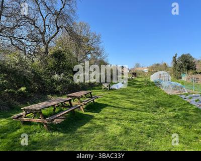 Garden details in Hannah Field community Garden Stock Photo - Alamy