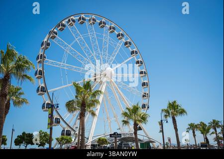 The Cape Wheel, V&A Waterfront,Cape Town,South Africa Stock Photo - Alamy
