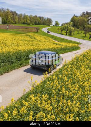 A country road surrounded by fields under thick fog Stock Photo - Alamy