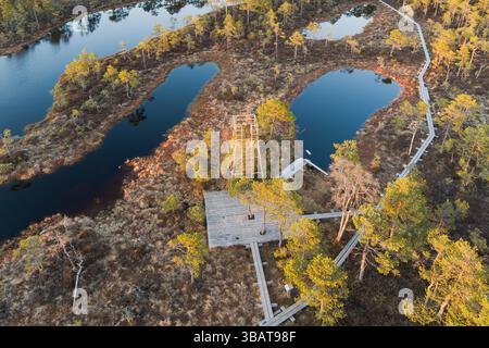 Aerial view of a bog in Estonia: the beauty of northern nature Stock ...