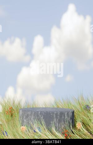 Podium on green grass at outdoor Stock Photo - Alamy