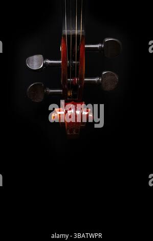 CLOSE UP VIOLIN PEG-BOX Stock Photo - Alamy