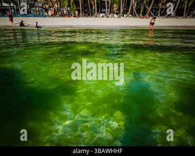 05 13 2025 - Boracay, Philippines. Massive algae bloom making emerald ...