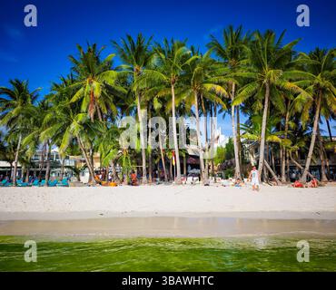 05 13 2025 - Boracay, Philippines. Massive algae bloom making emerald ...