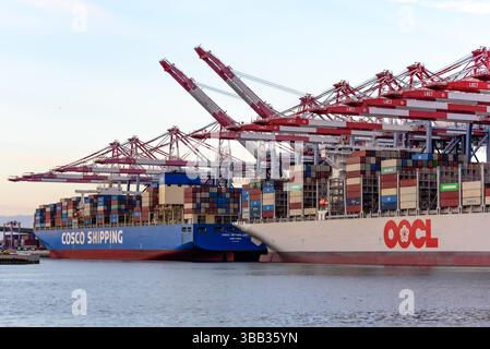 Two industrial ships underneath blue Verrazano-Narrows Bridge, New York ...