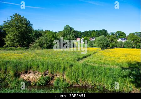 Colorful Zennebeemden landscape, a natural fluid zone of the river ...