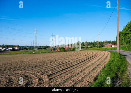 Fresh sown agriculture field at the Flemish countryside in Diksmuide ...