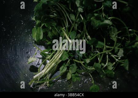 Asuncion, Paraguay, 14th May, 2025. Close up of raw watercress or ...