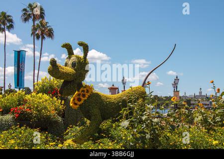 The Pluto cartoon character at the flower and garden topiary festival ...