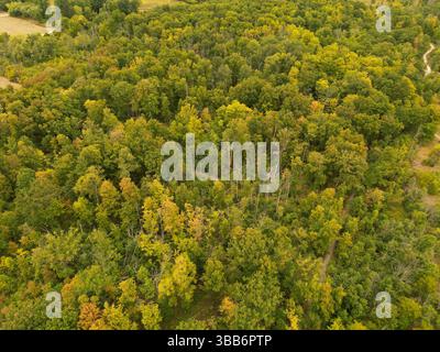 Aerial Views of Bronte Park: Trails, Forest & Scenic Surroundings Stock ...