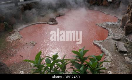Beppu Jigokudani (Hell Valley) – Volcanic Hot Springs and Geothermal ...
