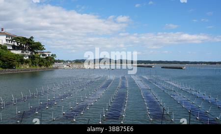 Matsushima Bay, Sendai – Stunning Pine-Covered Islands in Miyagi, Japan ...