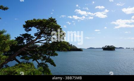 Matsushima Bay, Sendai – Stunning Pine-Covered Islands in Miyagi, Japan ...