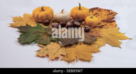 Knitted orange and beige pumpkins on an orange background, autumn ...