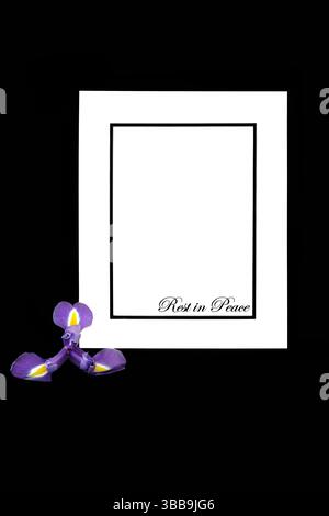 RIP in deepest sympathy memorial background with iris flower on white ...