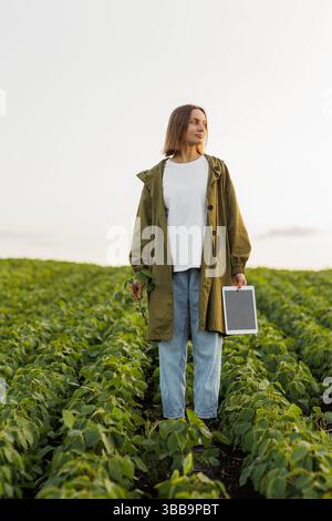Smart farming soybean technology. Female farmer with digital tablet ...