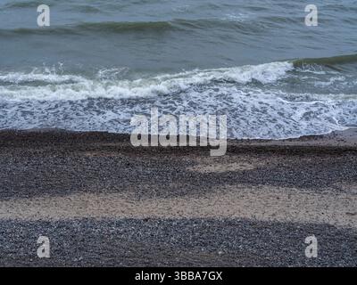 Steep coast, Nienhagen, ghost forest, Mecklenburg-Western Pomerania ...