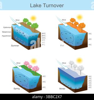 Oxygen Cycle Diagram for Science Education illustration Stock Vector ...