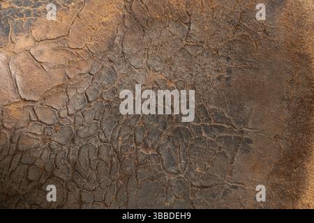 Old leather texture with scratches close up Stock Photo - Alamy