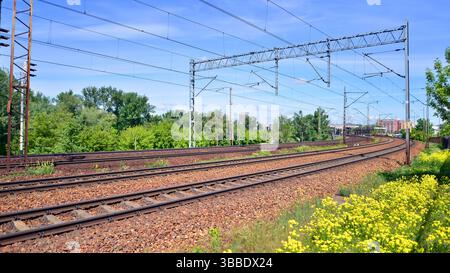 View of couple of empty railways with vegetation on each side. Metallic ...