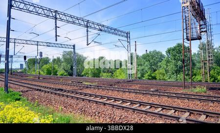 View of couple of empty railways with vegetation on each side. Metallic ...