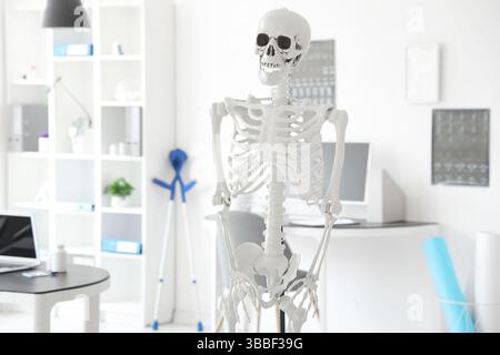 Human skeleton model in light hospital, closeup Stock Photo - Alamy