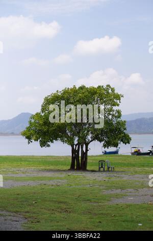 Timah Tasoh lake located at Perlis, northen state of Malaysia Stock ...
