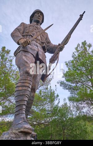 A memorial statue to the unknown Turkish soldier, with a rifle and a ...