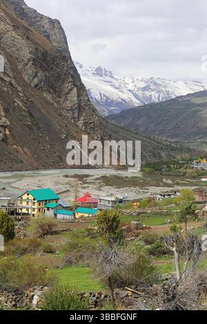 scenic landscape jispa village, snowcapped himalaya mountains and lush ...
