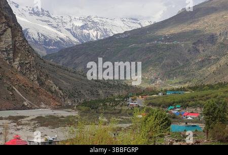 scenic landscape jispa village, snowcapped himalaya mountains and lush ...